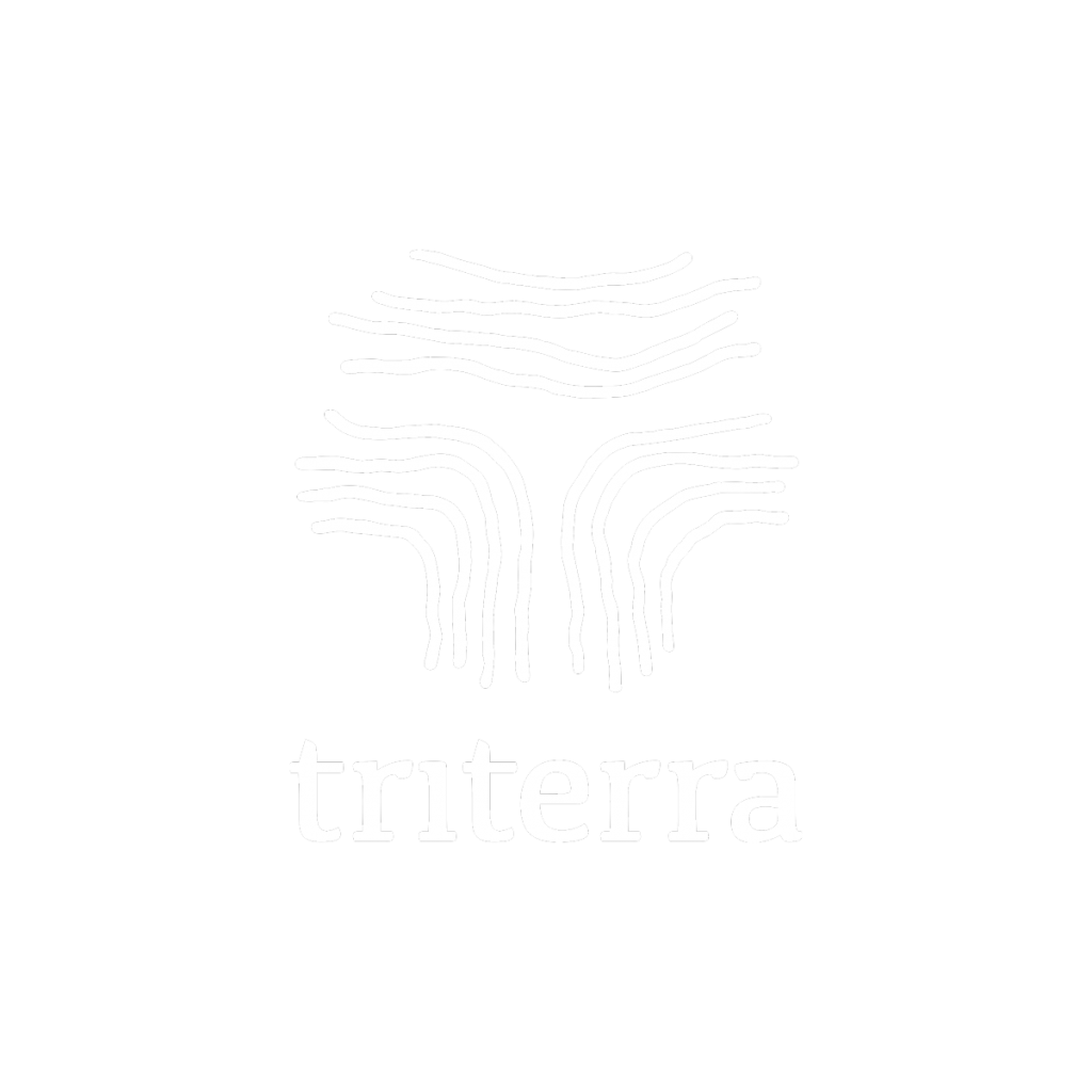 Triterra – Upper Transilvanya Wines